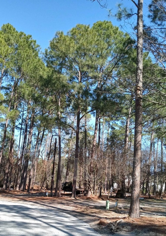 Request a Viewing for 217 Bent Tree Circle - Tenant Turner